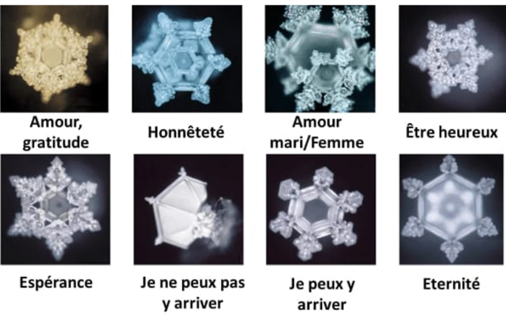 La Mémoire De L Eau Retour Sur Un Phénomène Passionnant