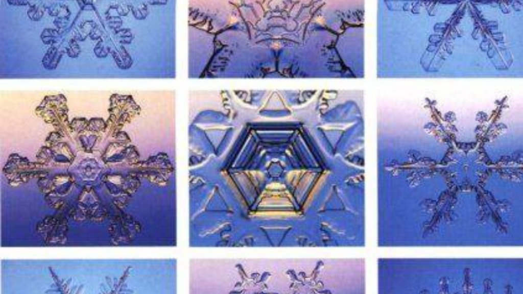 La Mémoire De L Eau Retour Sur Un Phénomène Passionnant