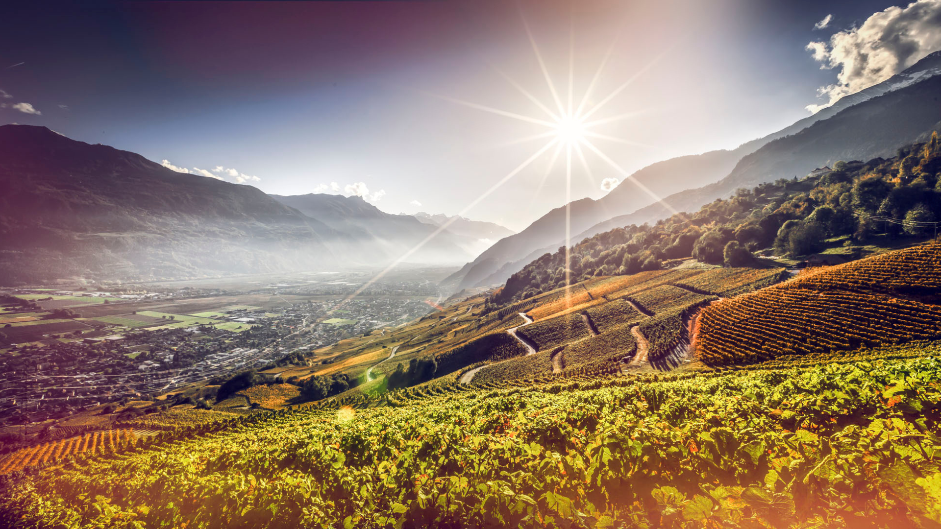 Le Valais suisse destination estivale très prisée, terroir d'exception